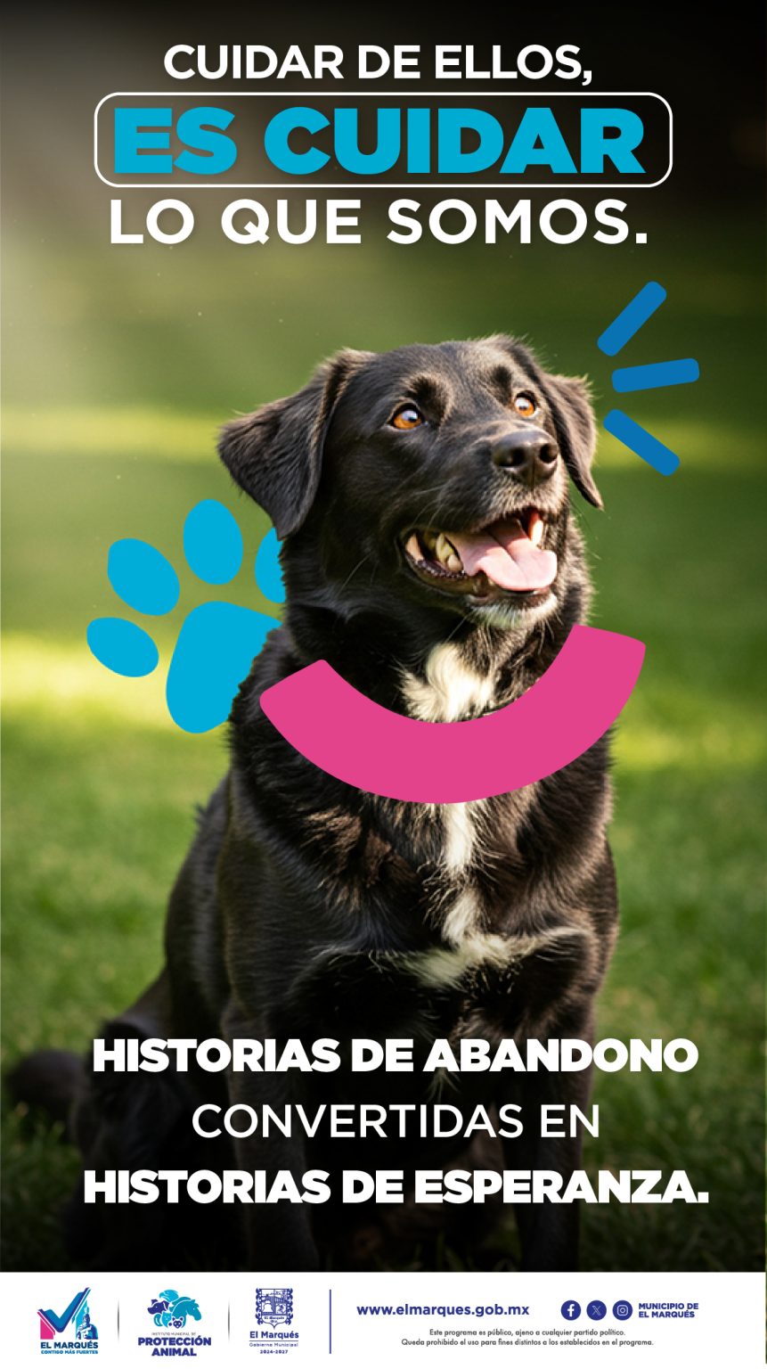 IMSS Querétaro presenta ciclo cultural «Escenarios 2025-2026» con ...